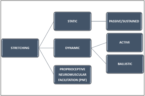 Stretching in Physical Therapy: Problem or Solution?